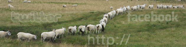 Design Communicates Your Perception of the Customer | Shelly Palmer