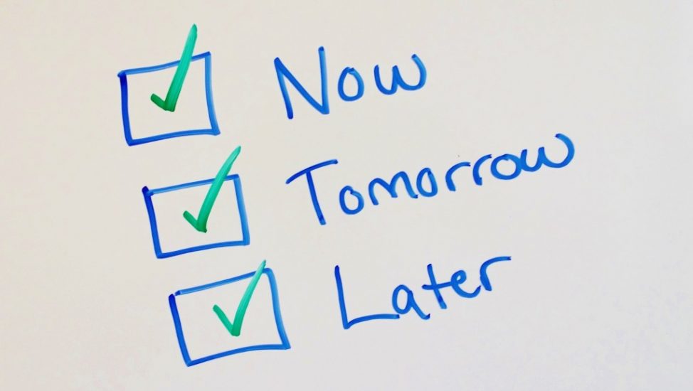 Machine Learning & AI: When to Start? | Shelly Palmer