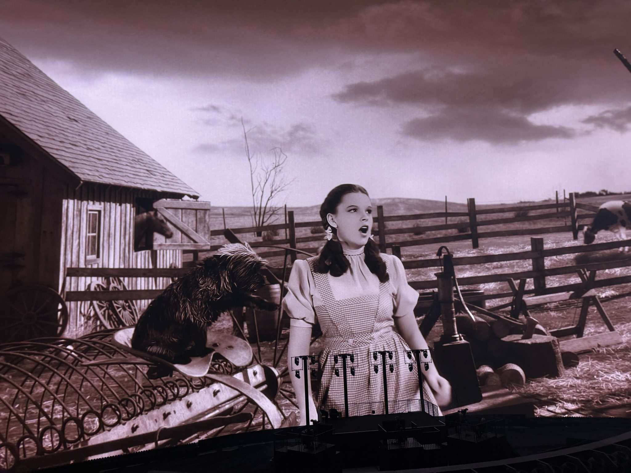 Follow the Yellow Brick Code | Shelly Palmer